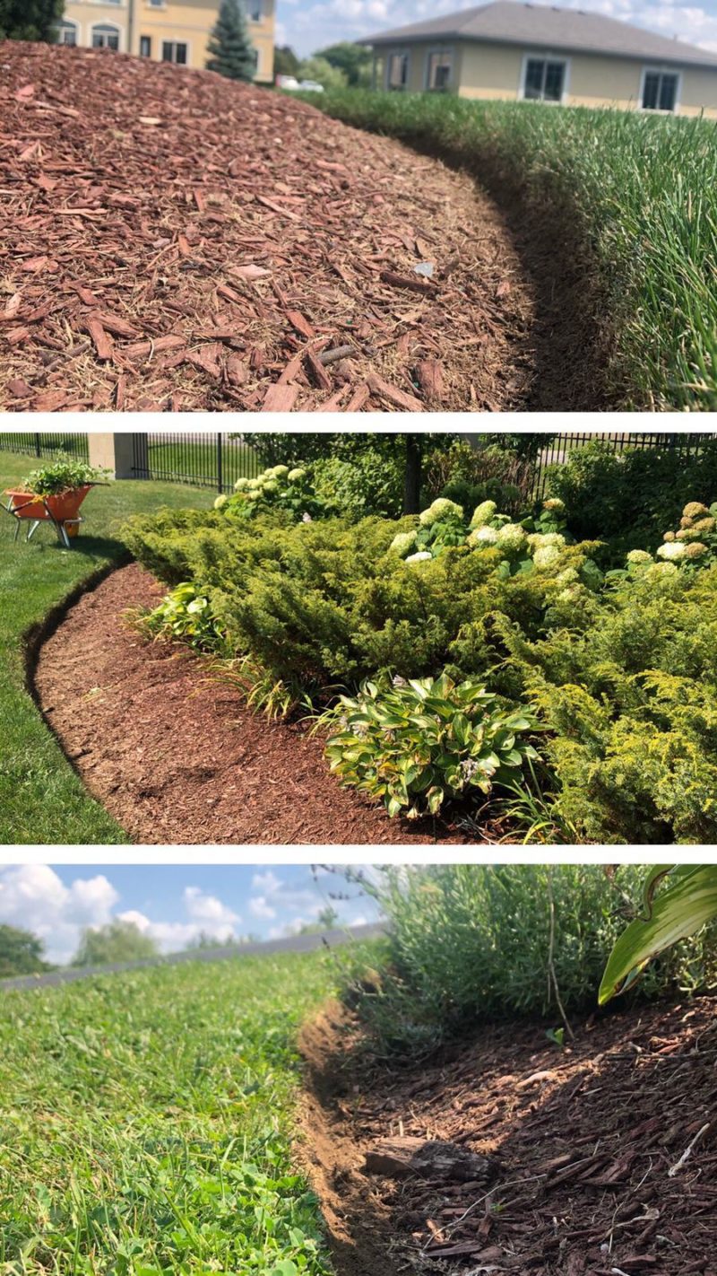 10 Tips for Creating a Low-Maintenance Landscape